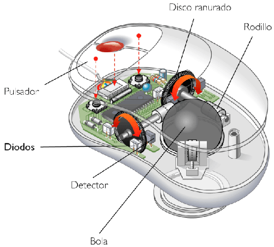 Electronica y software2020: Partes del Mouse