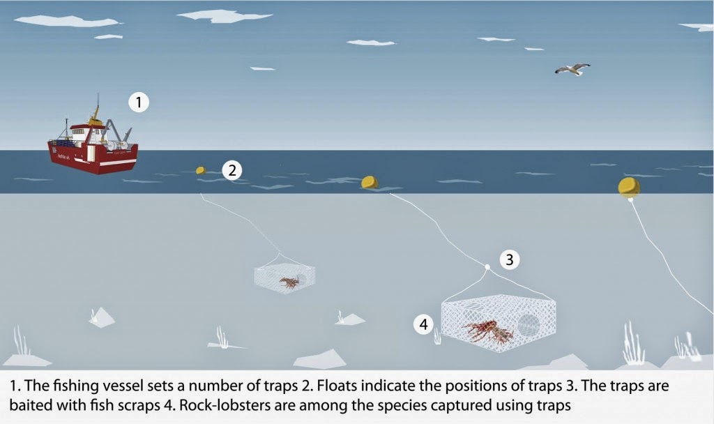 Fishing Techniques ~ FOKUS MANCING