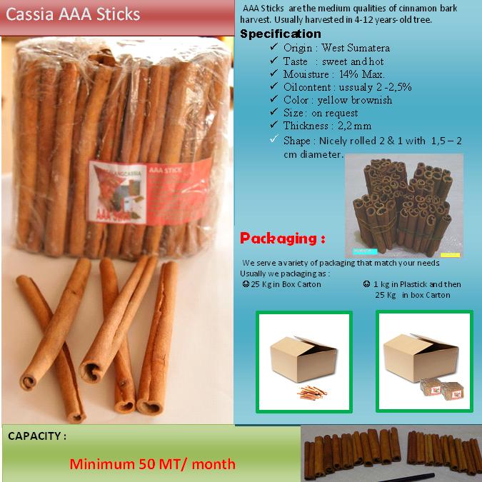 CINNAMON INDONESIA: Cassia Sticks