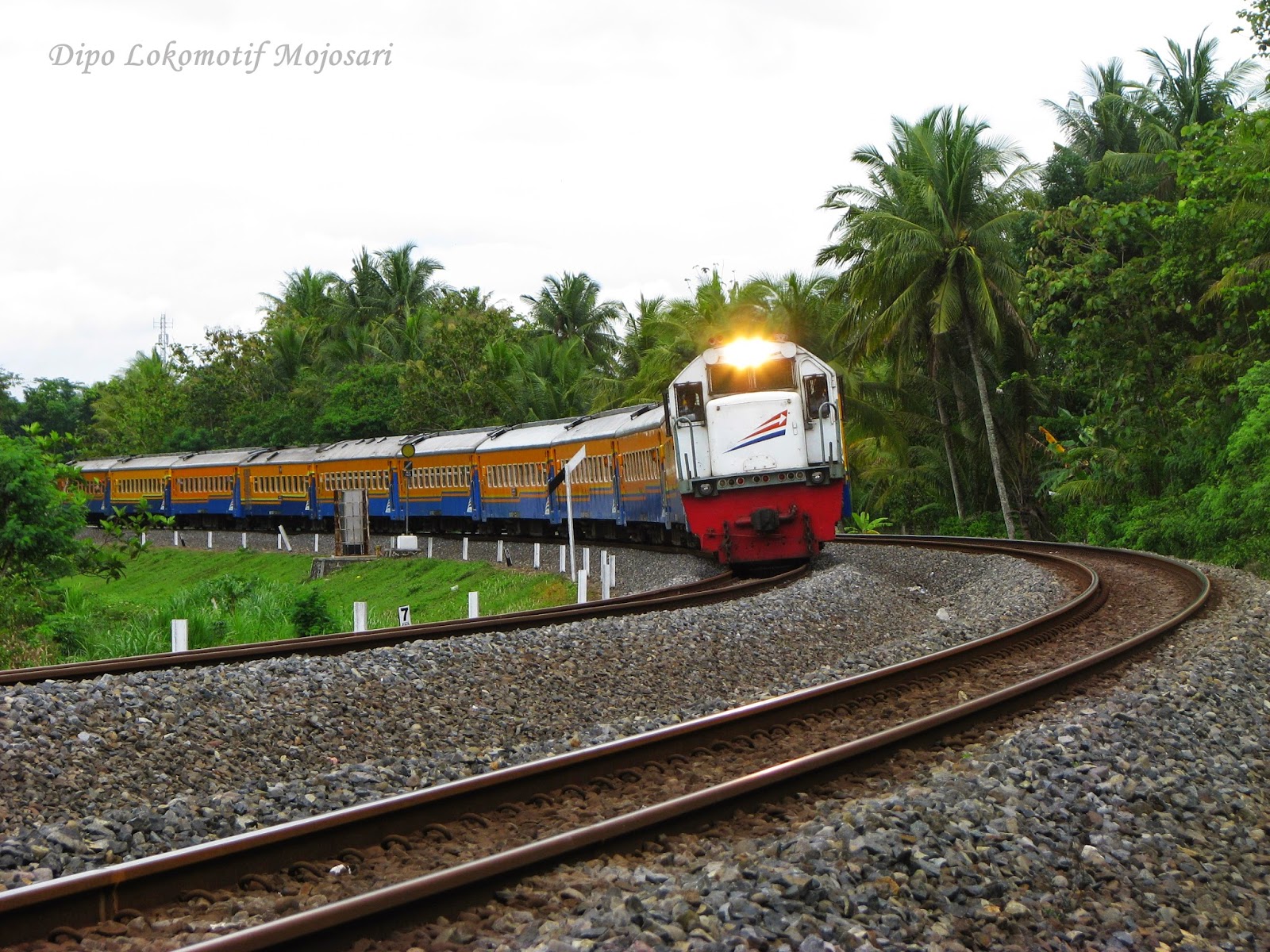 Kereta Api Indonesia: Rangkaian KA Progo Melintas di Sentolo, Kulon ...