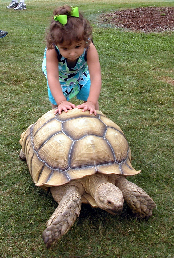 A little push up the hill is always welcome.