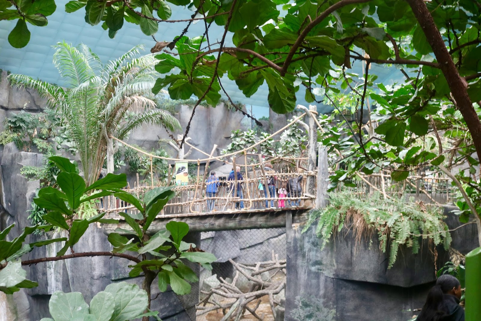 Amy's Creative Pursuits: Visiting The Brookfield Zoo In Winter