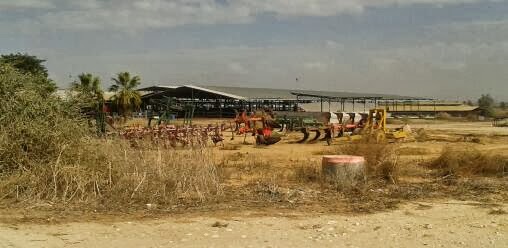 Anna's Antics: First few days in Kibbutz Ein Hashlosha!