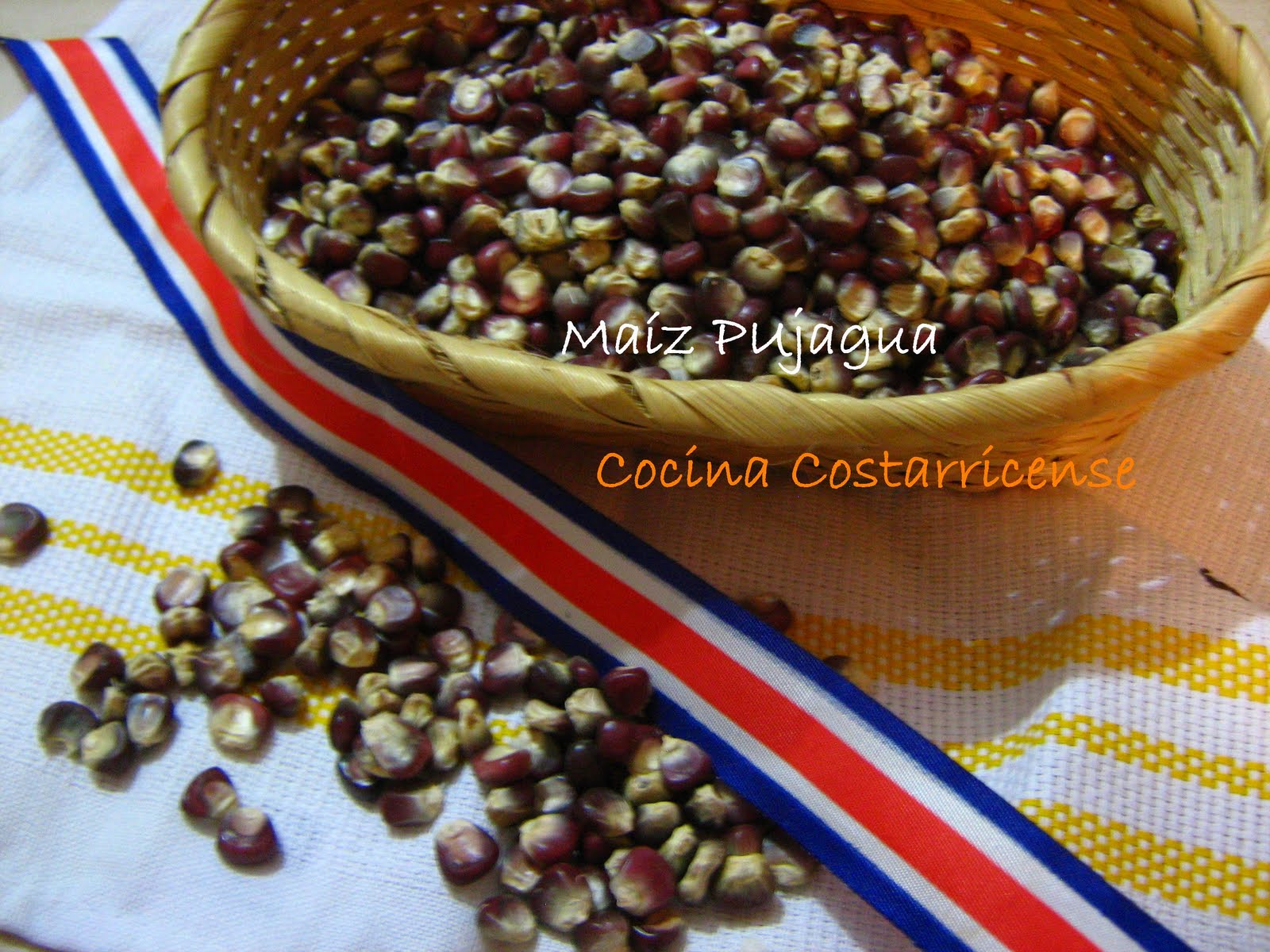 Cocina Costarricense: chicheme