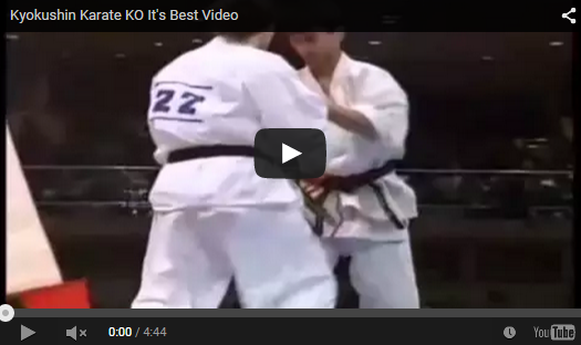 Kyokushin Karate KO It's Best Video - Mixed Martial Arts