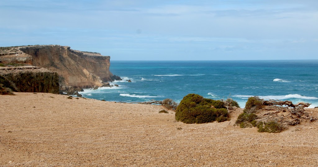 Bushranger: Sea Lions at Point Labatt