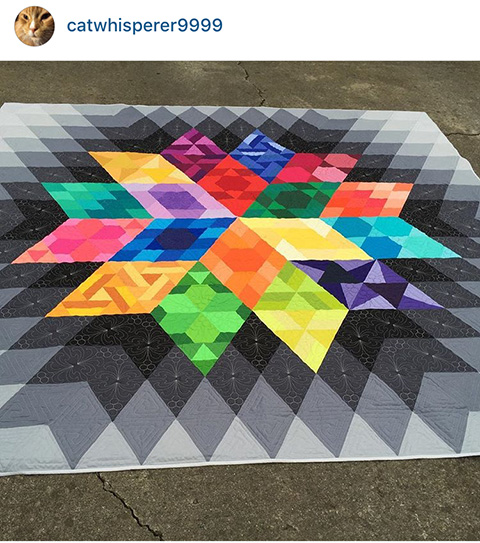 Jaybird Quilts: Your Photos: Gravity