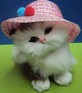 Cute toy and Kitty DPs | Awesome dp