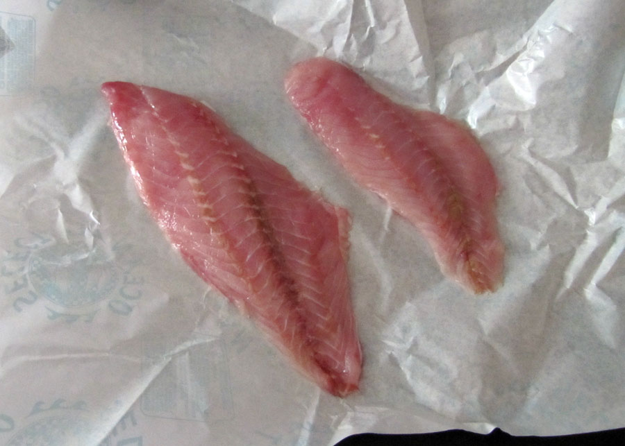Smells Like Food in Here: Pacific Red Snapper Fillets