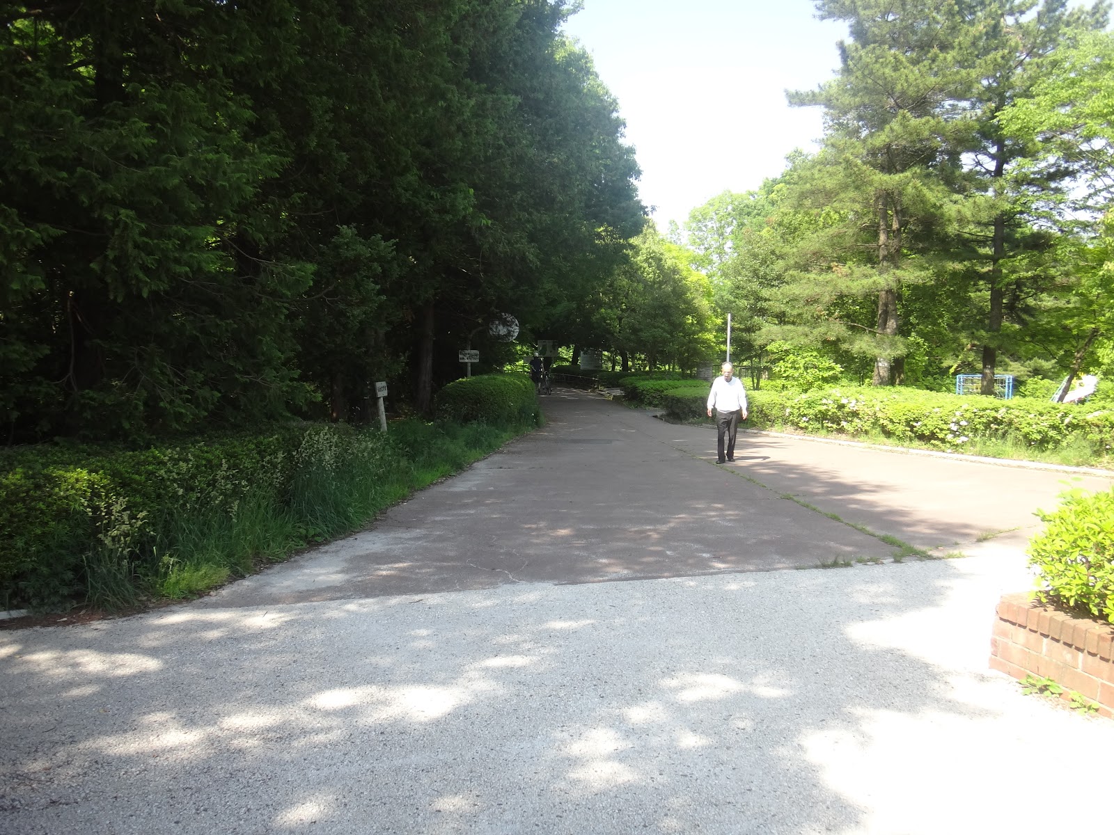 JAPAN through my eyes: Heading for Shinrin Koen