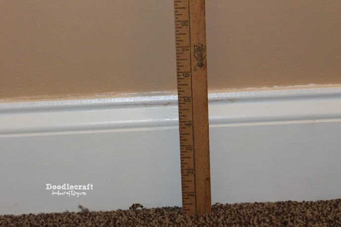 Growth Chart Ruler!