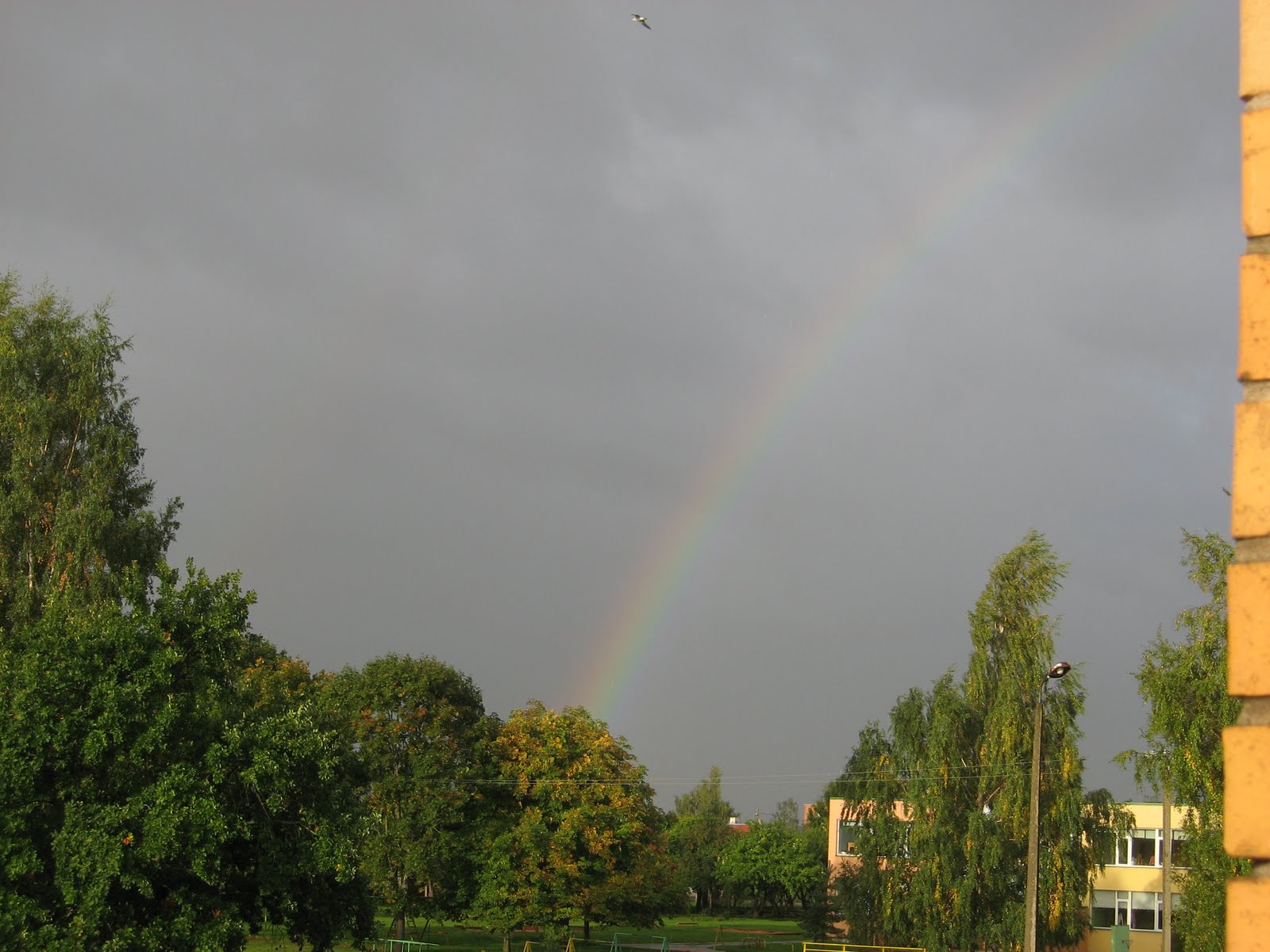 Meie klass: Vikerkaar