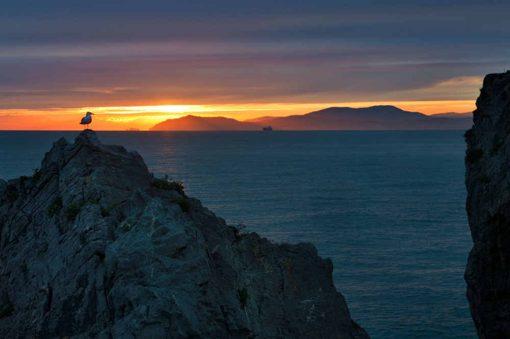 Aguas de Conciencia: Zeitgeist- Documental-