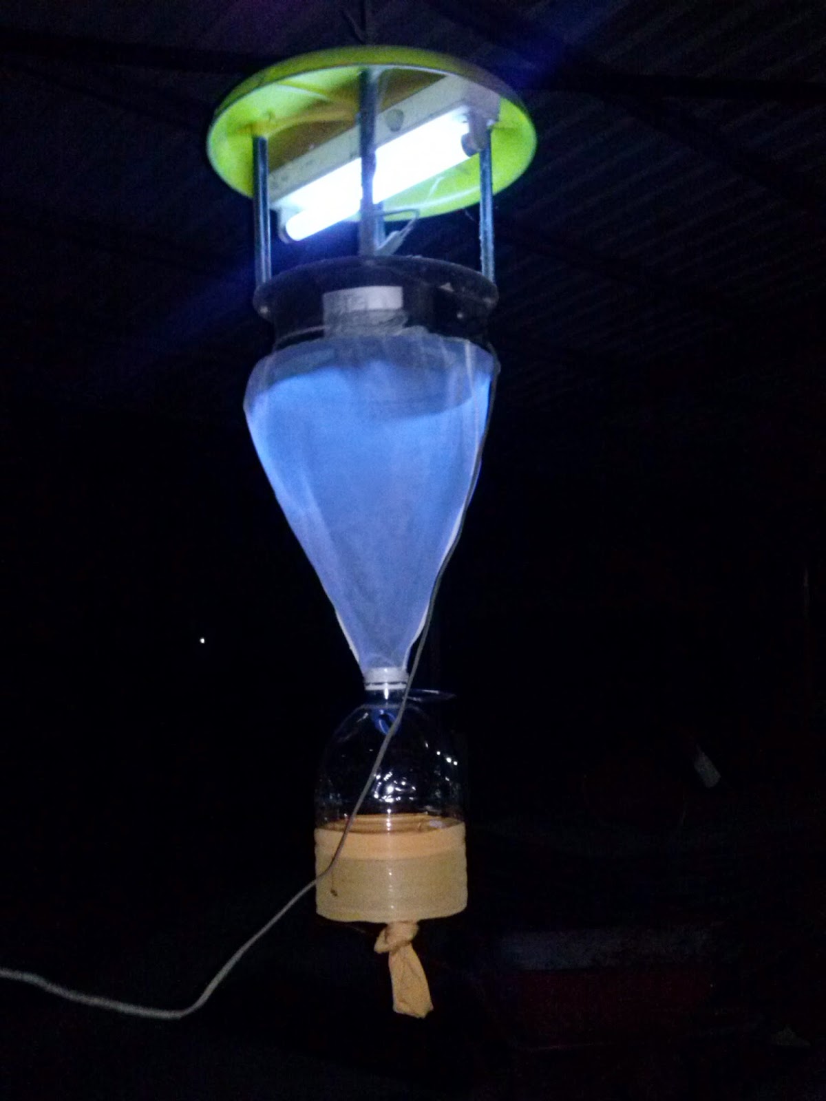 Estudiando Agricultura en Taiwán: Trampas para insectos