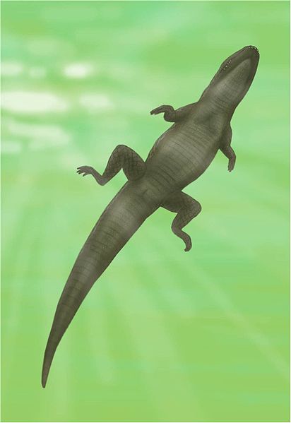 Los animales en la prehistoria: Animales prehistóricos con la letra A