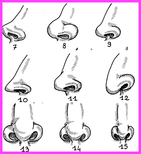 ALERTE VOTRE CORPS VOUS PARLE: N°6 - LE NEZ, LES JOUES, LA BOUCHE ET ...
