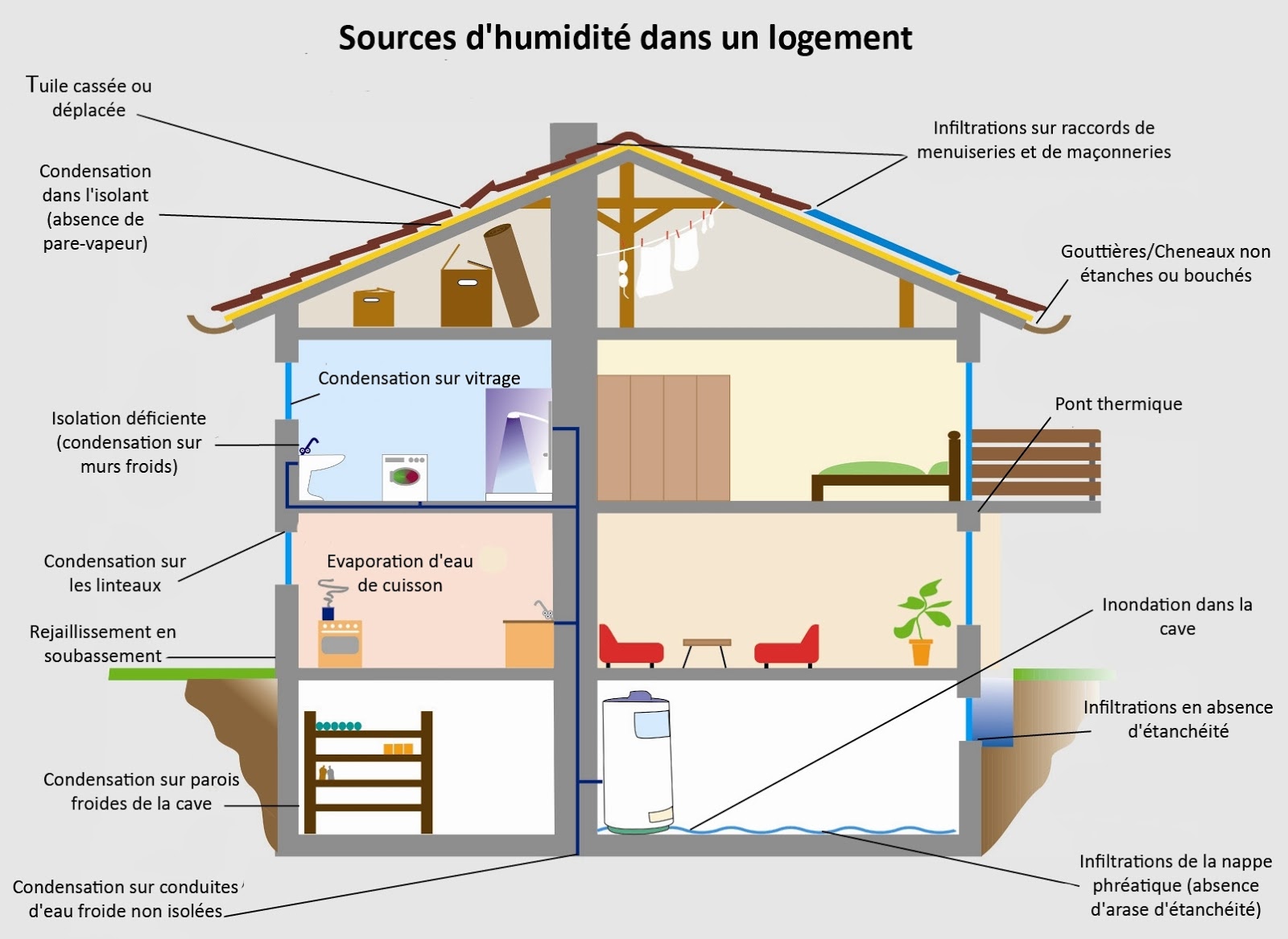 D’où viennent les problèmes d’humidité ? - Déshumidificateurs
