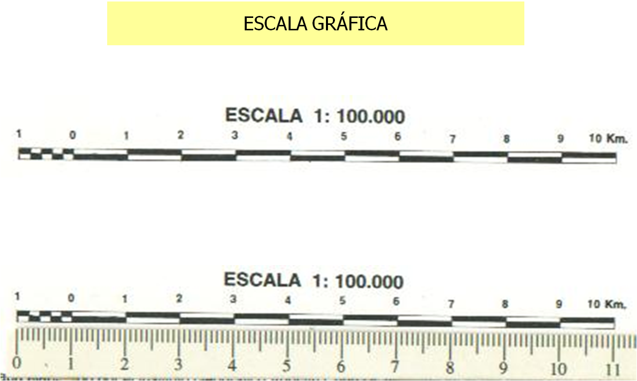 Coleccion Didáctica Cátedra de Ecología: COMPONENTES Y DINAMICA DEL PAISAJE