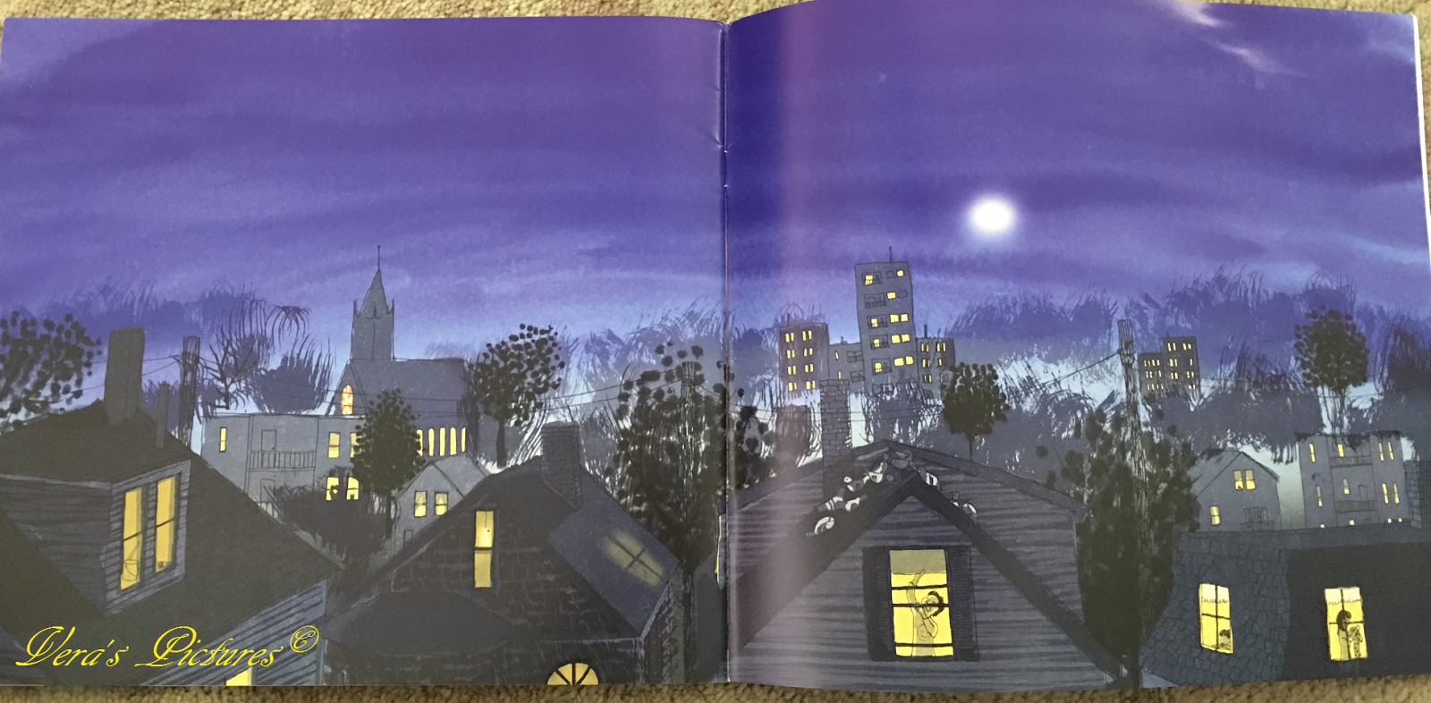 Chat with Vera: WINDOWS by Julia Denos & illustrated by E.B Goodale ...