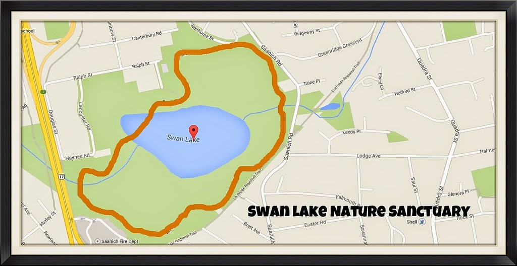 Check Out My Bird!: 2014