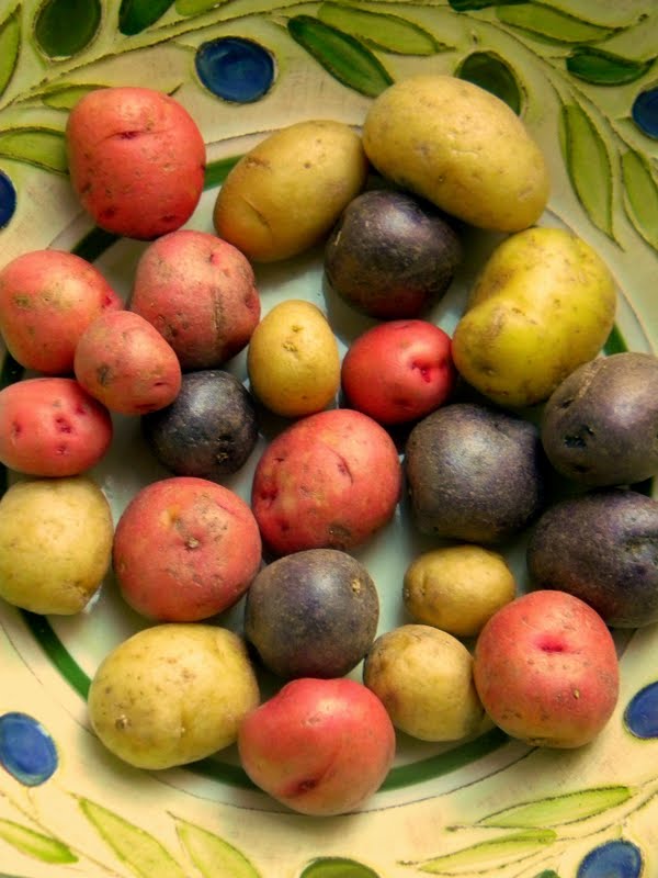 Meet The Shannons: Curry Vegan Chicken & Potato Salad Inspired by Kittens!