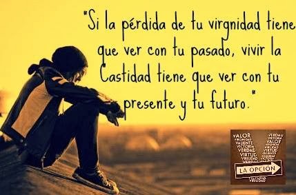 Grupo ProVida Evangelium Vitae: ¿Cómo vivir la castidad?
