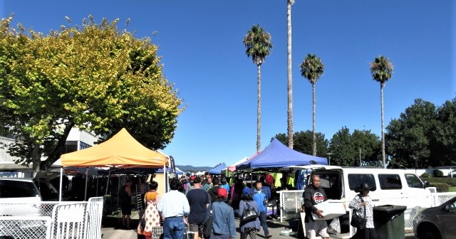 Residents in Aotearoa: March 3, 2019 at the Avondale Market