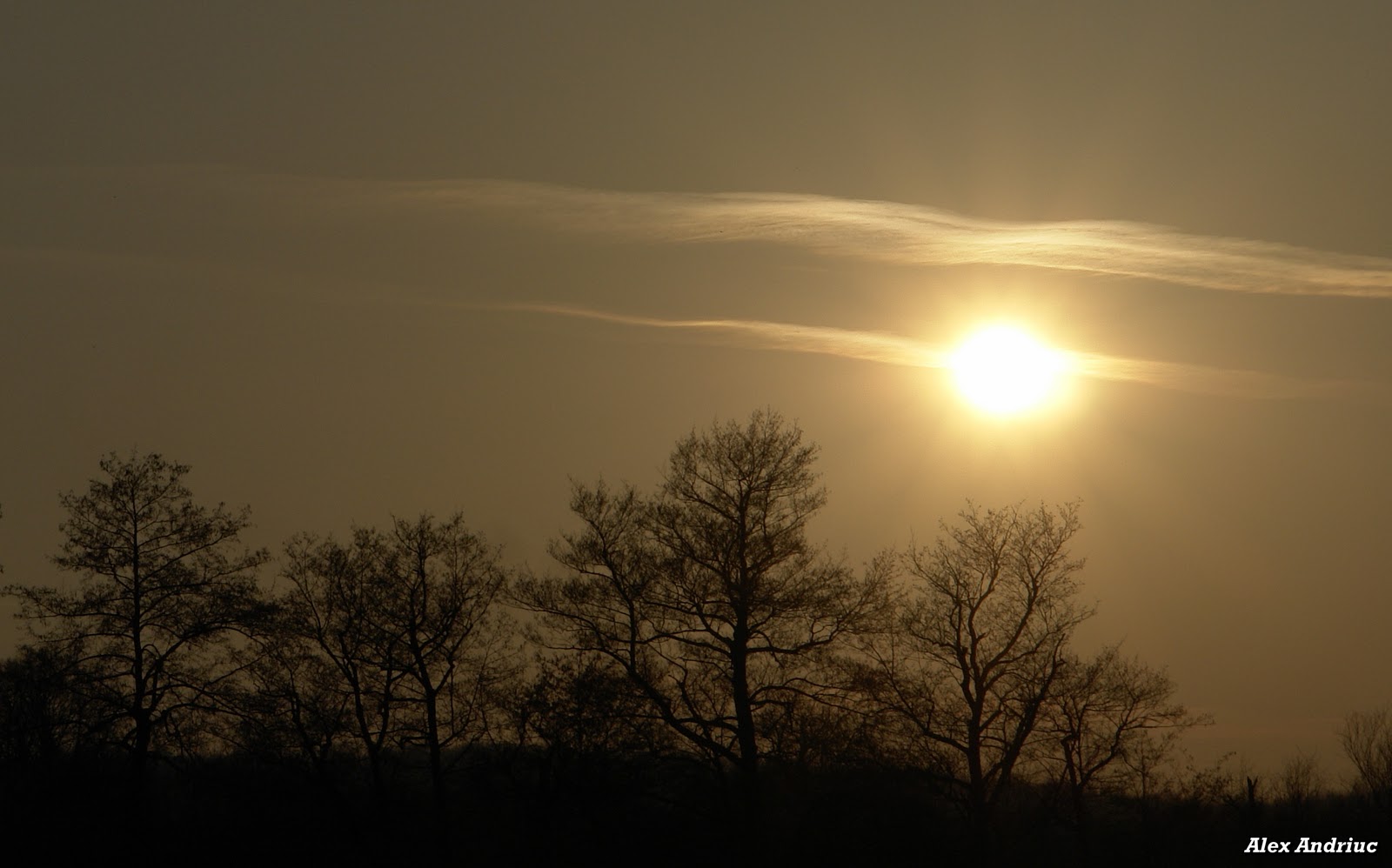 Alex Andriuc: Apus de soare pe valea Timisului.