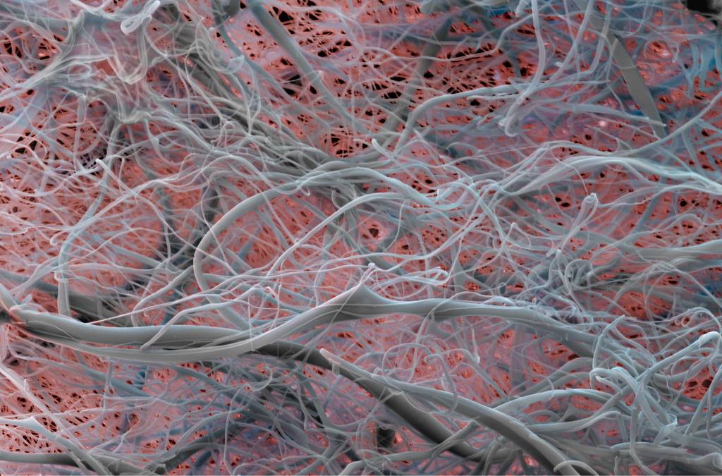 Nanotechnology World Association: Under the Electron Microscope