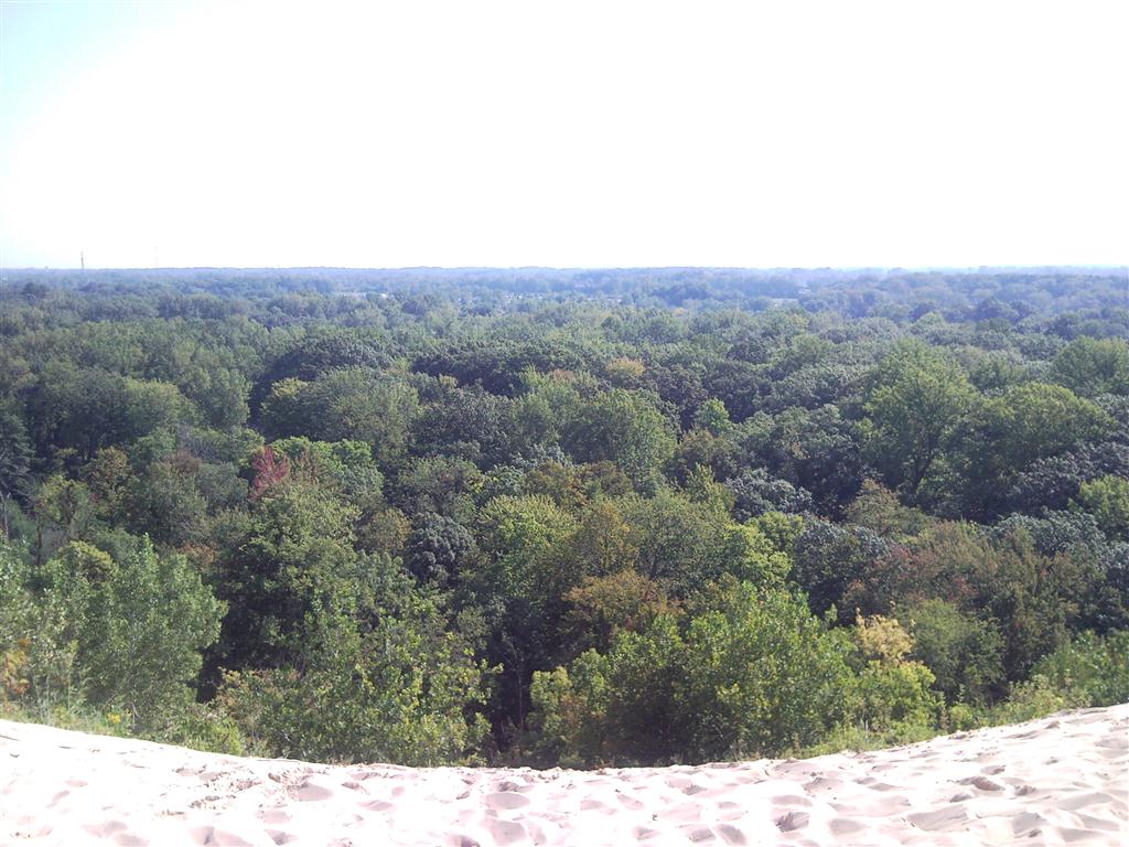 Wilderness Wanderings: Mt. Randall Trail (Warren Dunes State Park) (9/4/09)