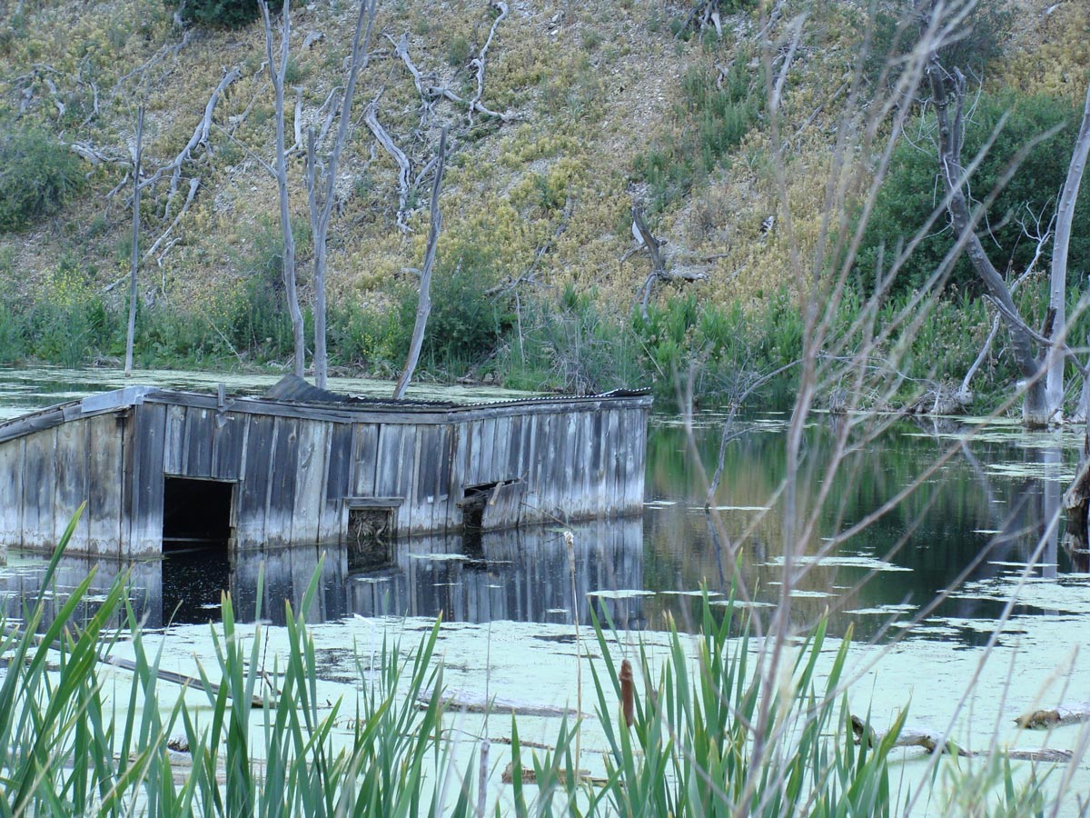 Falling in Love with Utah: Utah's Newest Ghost Town - Thistle