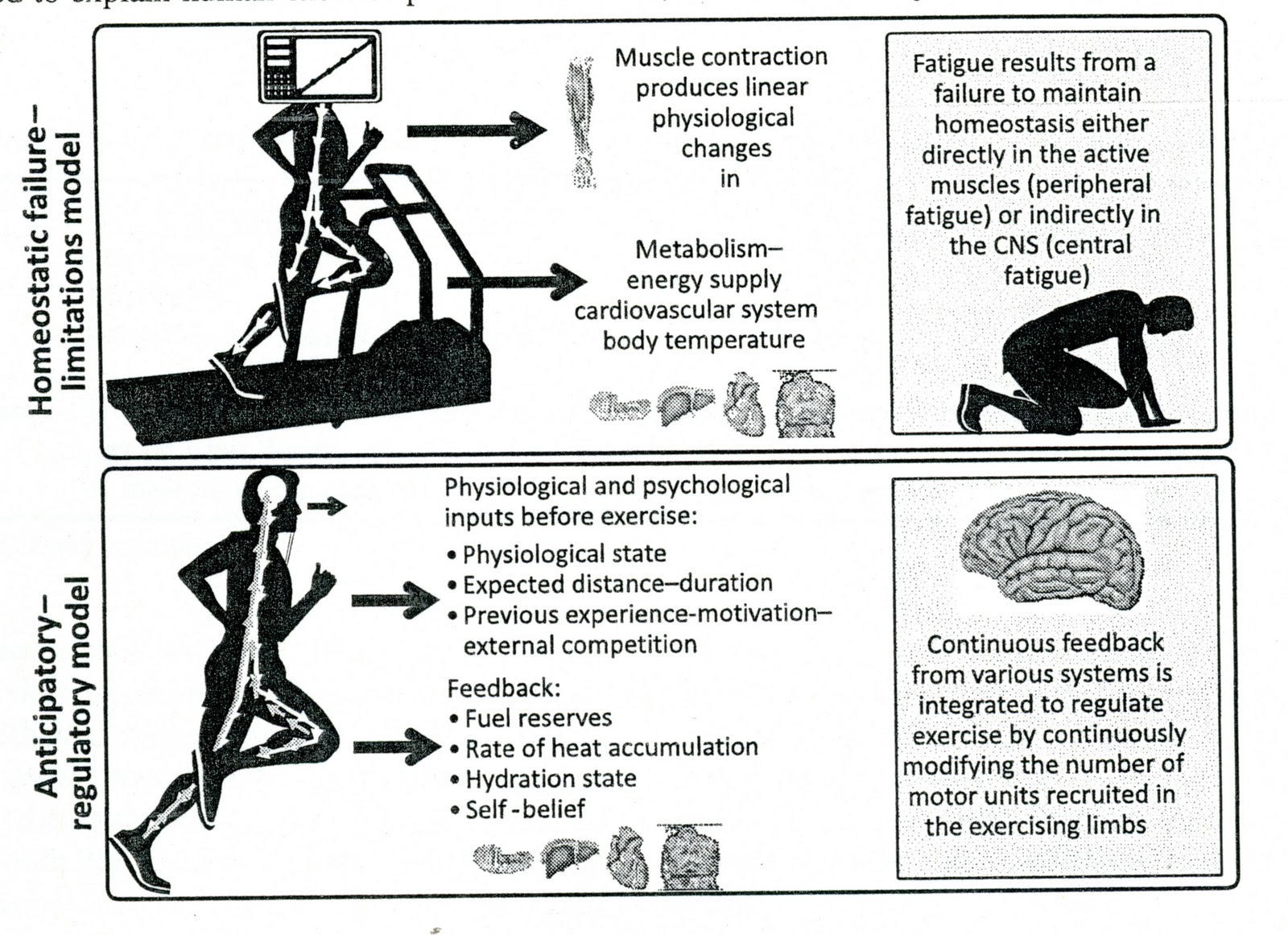 UltraStu - Millsy's Memories and Mutterings about Trail Running: Beachy ...