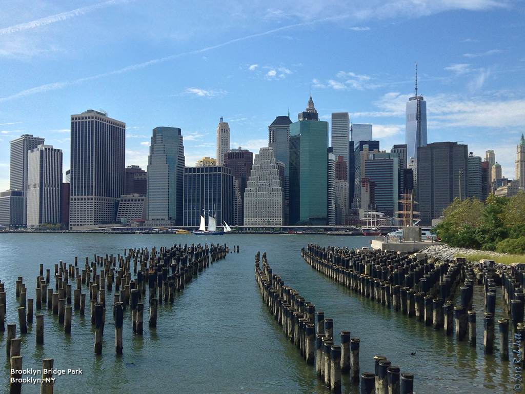 The City Birder: Urban Nature Landscapes