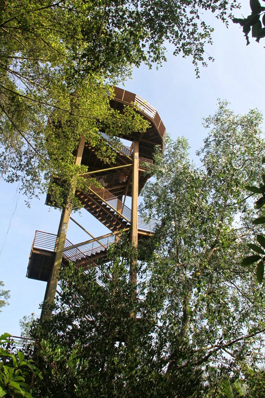 Adventures with the Naked Hermit Crabs: 6th year anniversary walk