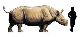 El rinconcito del pequeño naturalista: El rincón de los documentales