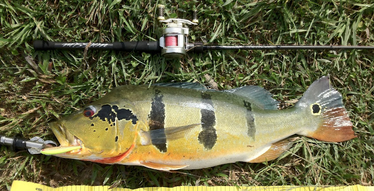 Max Fishing Dairy: Smith Seabat 78s