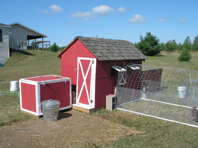 The Cheerful Agrarian: Simple, Light Chicken Tractors