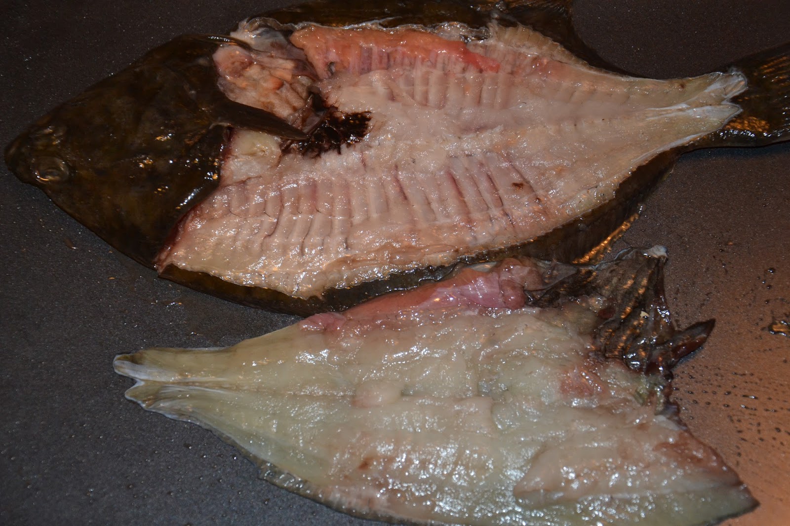 Oppdag Fisk!: Skrubbe/European Flounder/Platichthys Flesus (Saltvann)