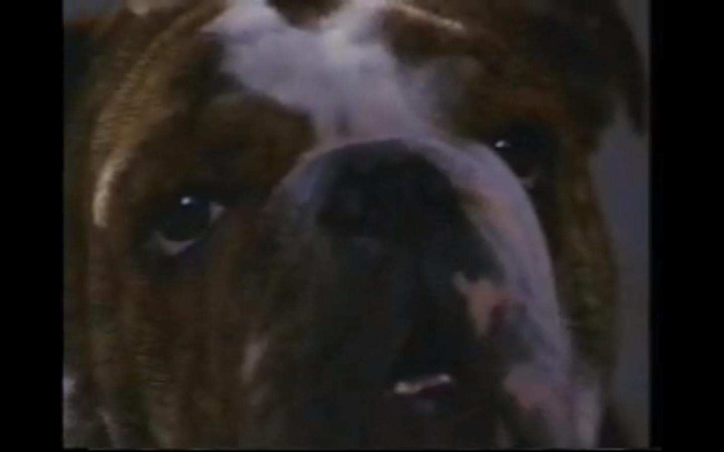 Not This Time, Nayland Smith: Poochinski (1990)