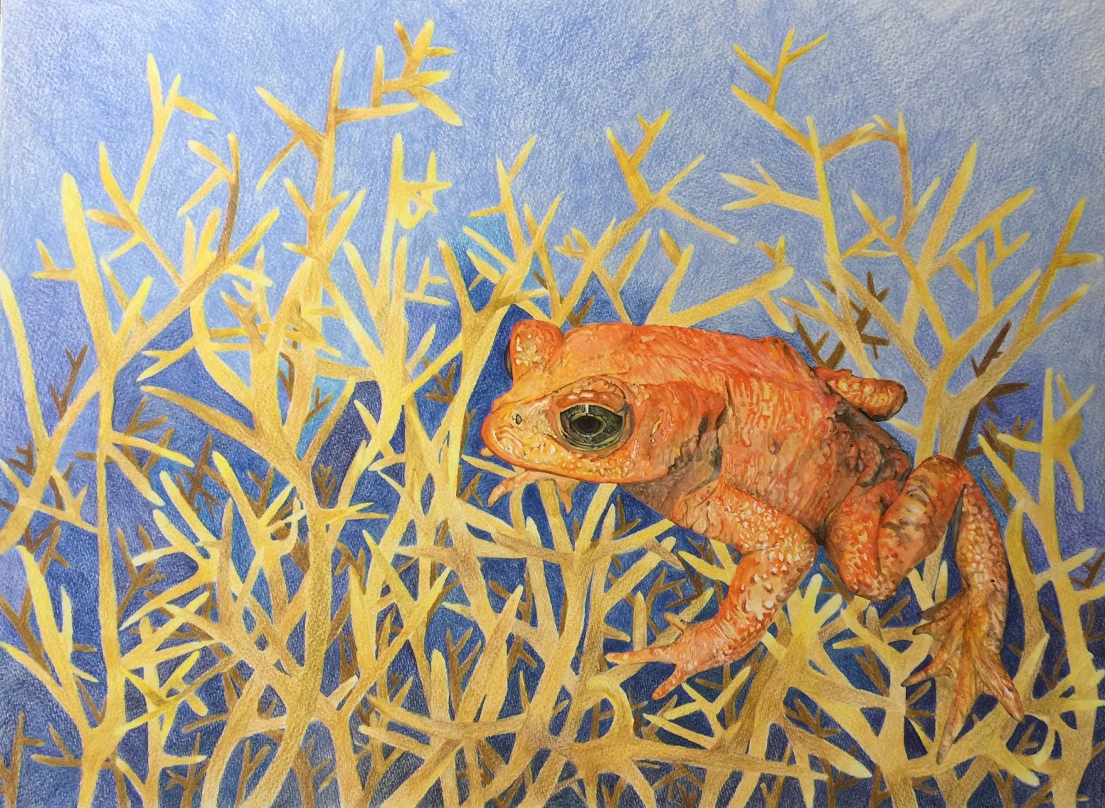 Tamara Coleman: PAINTINGS/DRAWINGS