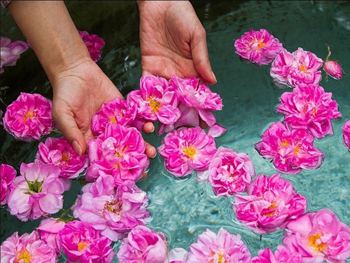 Festival of the favorite flower of the Prophet Muhammad in Iran | islam ...