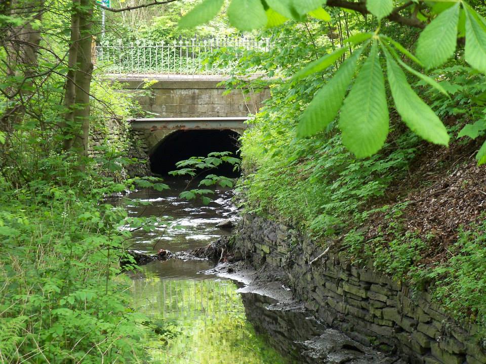 Andrew Simpson: Following the Gore Brook south from Gorton towards Chorlton