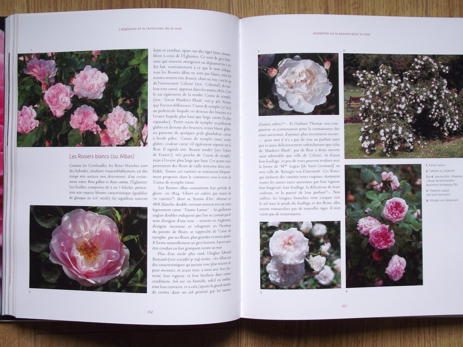 Promesse de roses: Le Livre des Roses