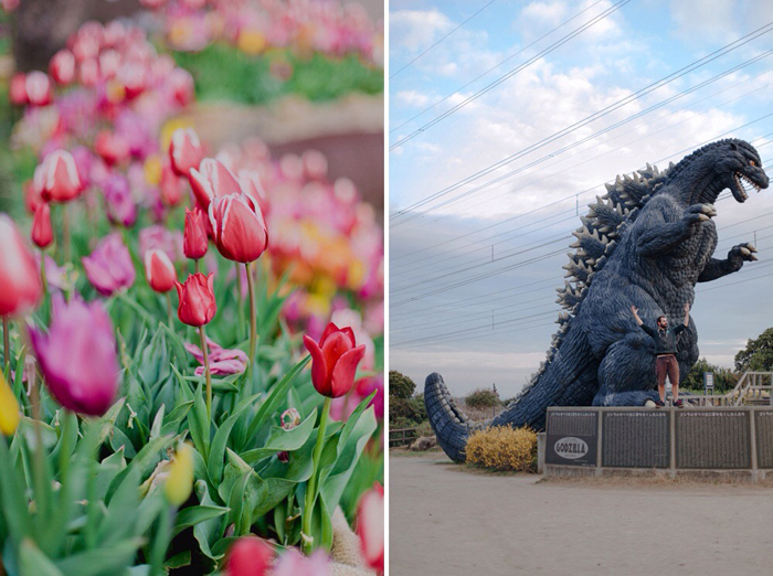 Burntfeather: Japan Road Trip: Giant Godzilla Slide
