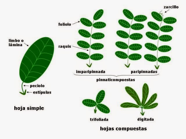 Bio Lounge: Setembro 2014