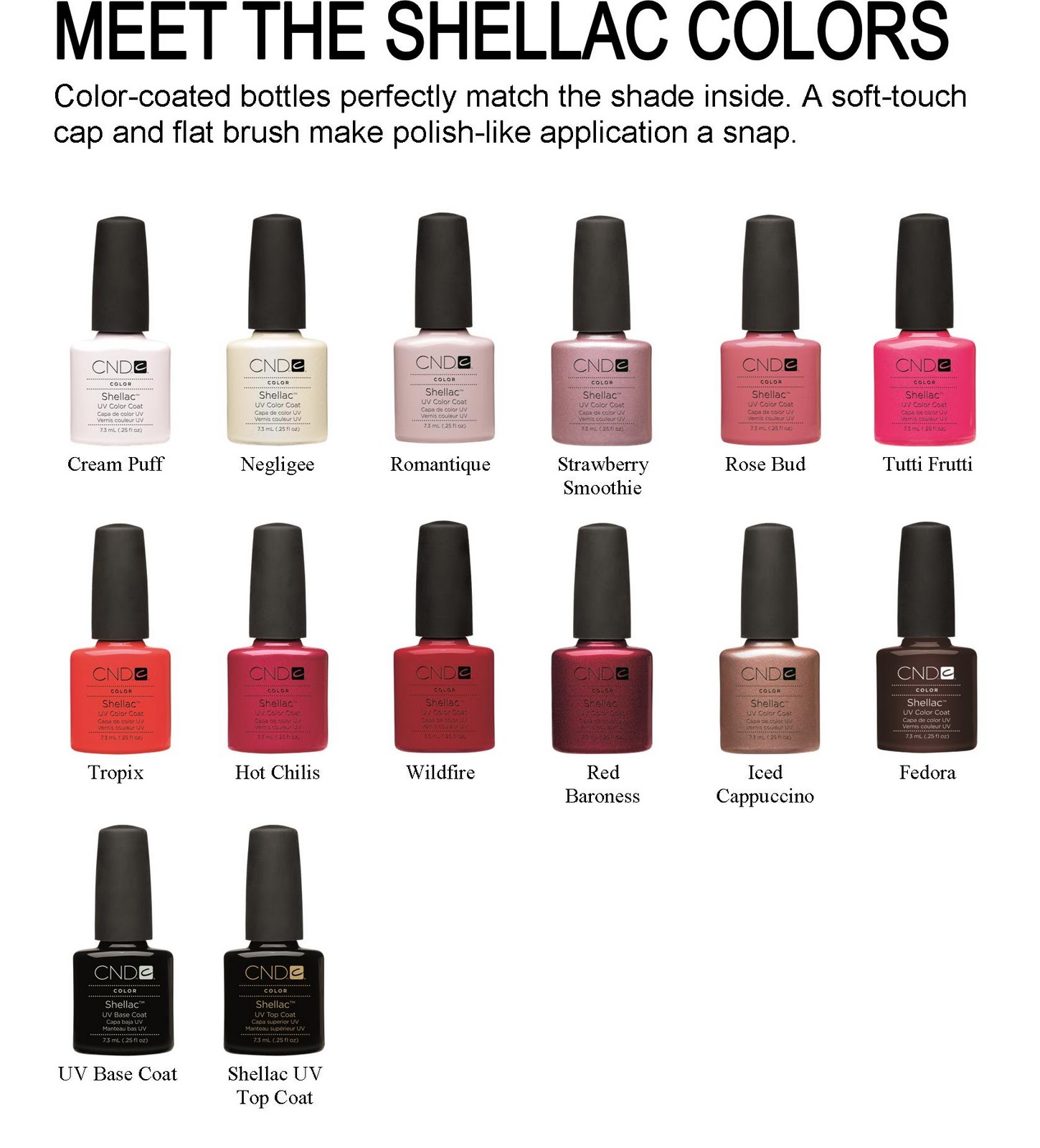 Shellac Under Paint at Justin Finn blog