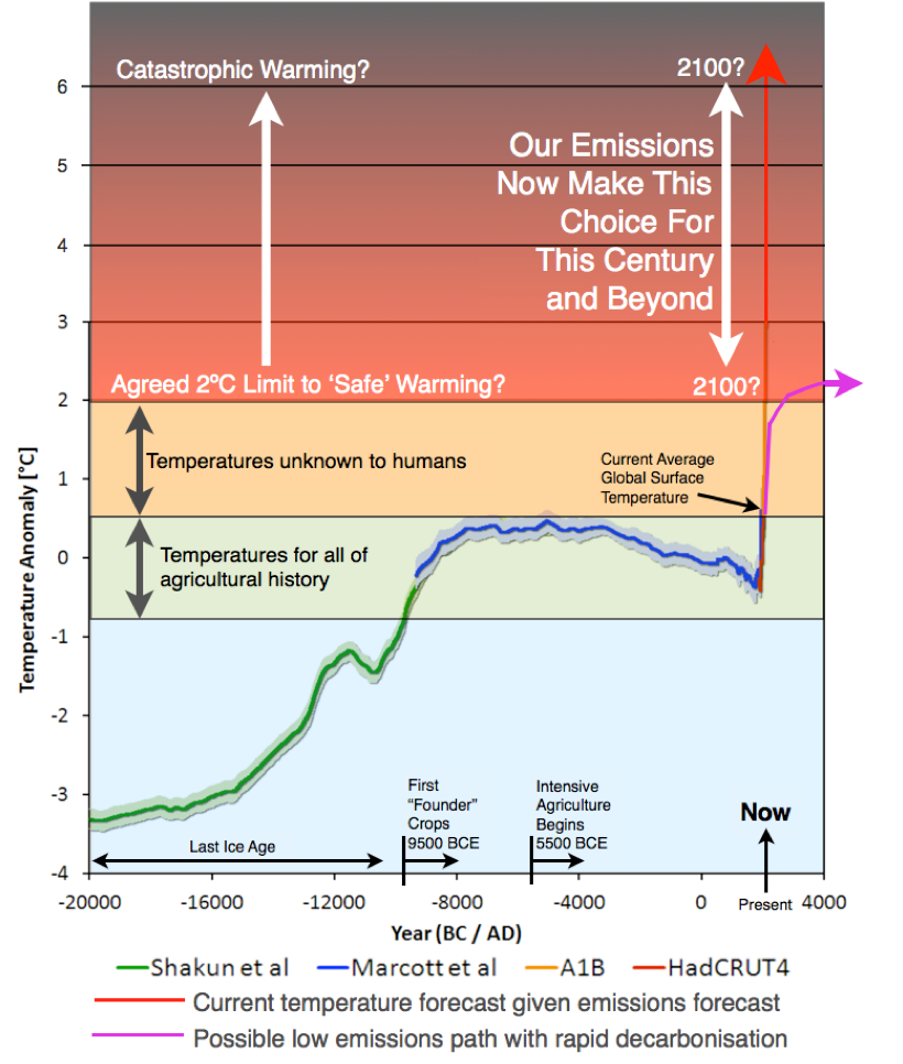 The Cabbages of Doom: January 2014