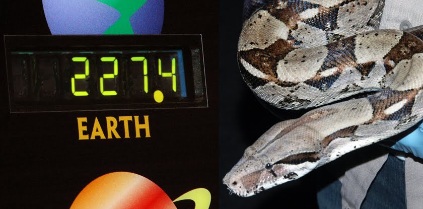 Pacific Science Center Life Sciences: Snake Weight, Don’t Tell Me!