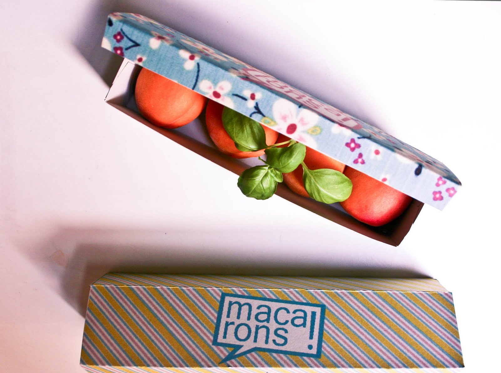 Lolaroid: DIY Macaron Box