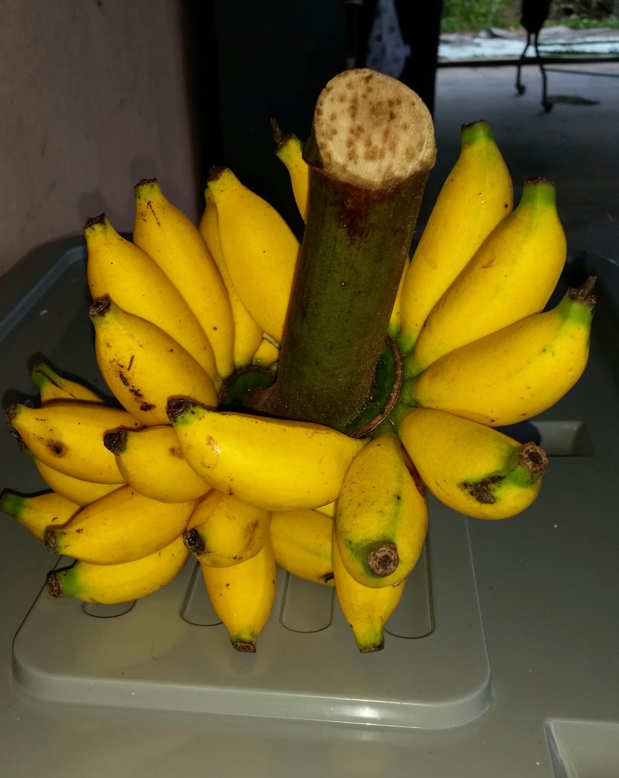 Warisan Petani: Pisang lemak Manis